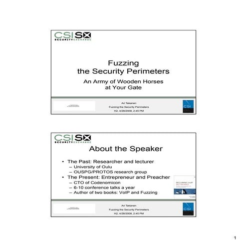 Fuzzing the Security Perimeters | PDF