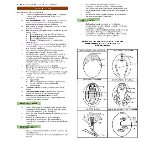 TREMATODES_-_finals.pdf | Medical Health