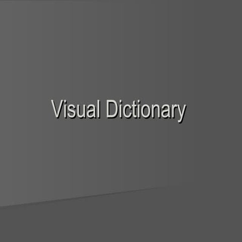 visual dictionary | PPT