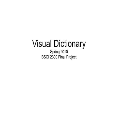F:\Visualdictionary\Visualdictionary1 | PPT