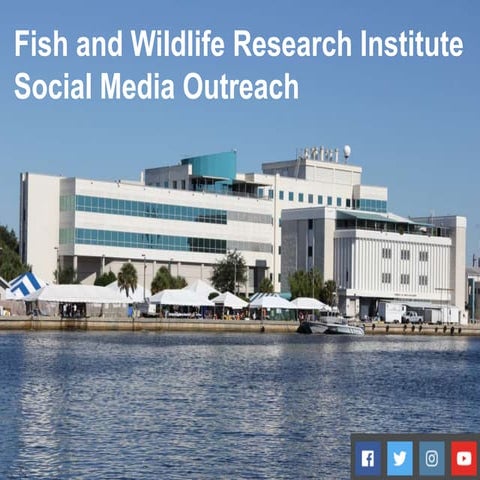 FWC Research Social Media Management | PPTX | Social Networking | Internet