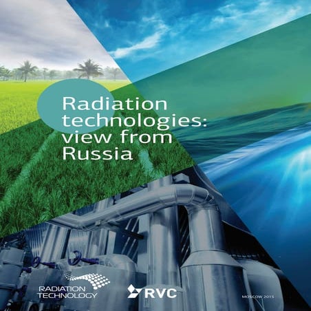 Radiation Technologies: View from Russia | PDF