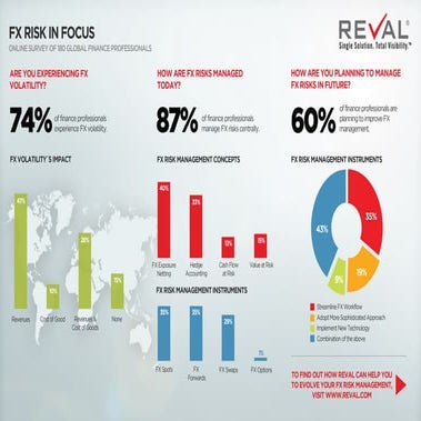 FX RISK IN FOCUS | PDF