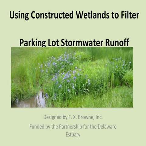 FXBI Wetland Ppt | PPT