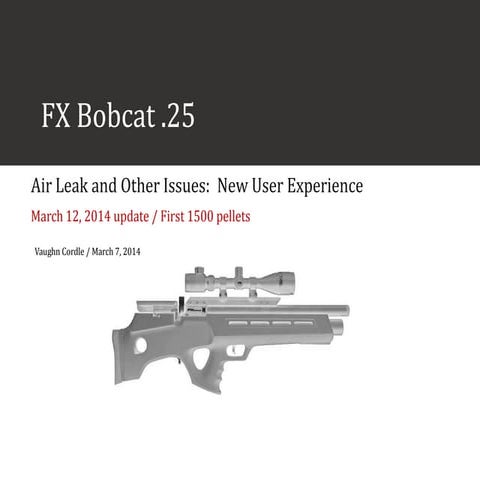 FX Bobcat: Air Leaks and Other Issues | PPTX
