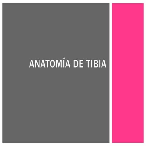 anatomia de la tibia.pptx