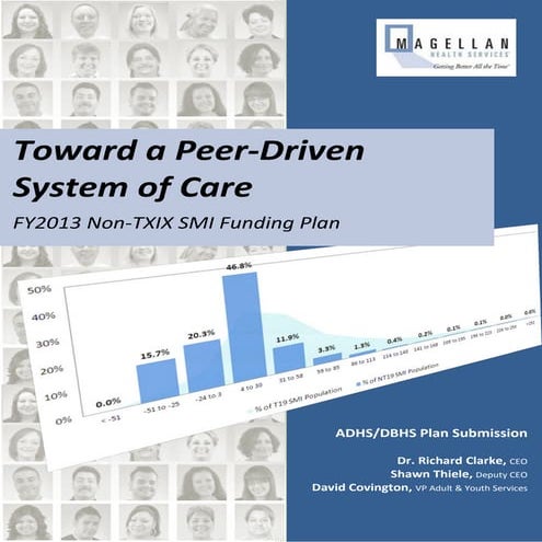 Toward a Peer-Driven System FY2013 Plan | PDF