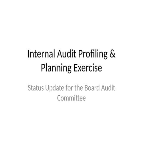 FYI2.pptx Internal Audit Profiling & Planning | PPTX