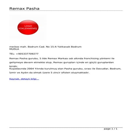 Remax pasha | PDF