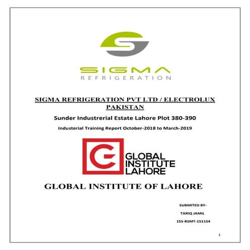 industrial training internship report | PDF