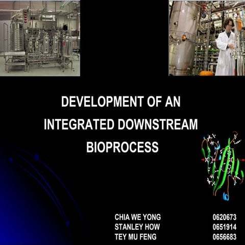 FYP Presentation Slides | PPT