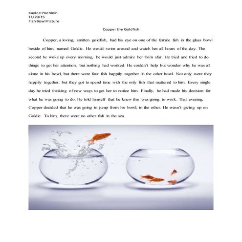 Fys fish bowl | PDF