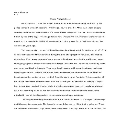 Fys photo analysis essay | DOCX