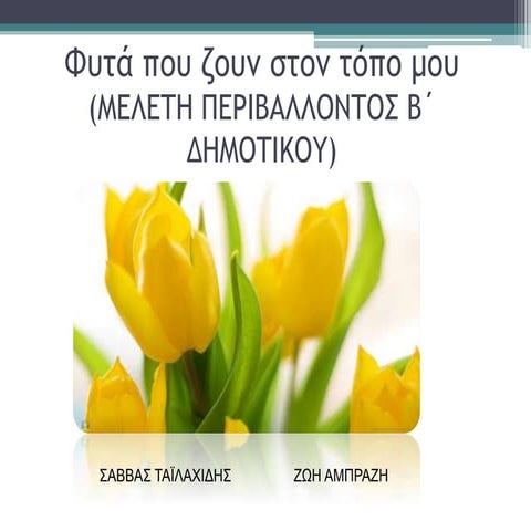 ΠΑΡΟΥΣΙΑΣΗ ΦΥΤΑ | PPTX