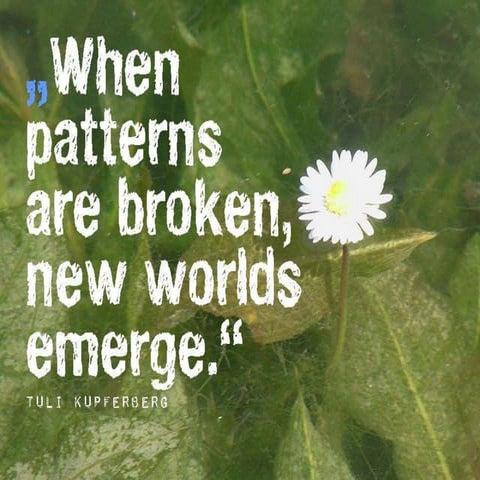When patterns are broken_tiny13_01 | PDF