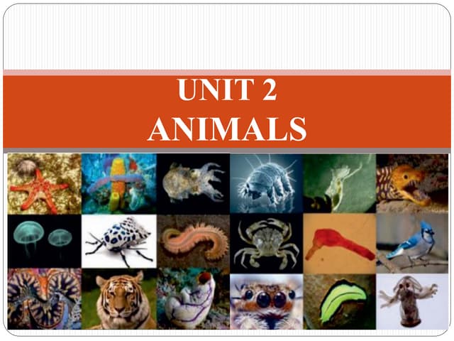 ANIMALS-REP-PPT.pptx Animal Reproduction | PPTX