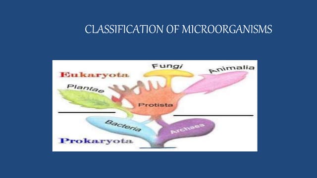 Classification of microorganism | PPTX