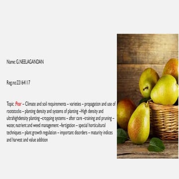 Production Technology Of Pear.......... | PDF