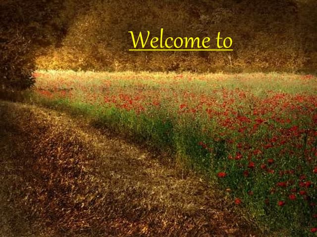 4W Canvas Problem.pdf