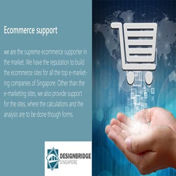 Ecommerce support (2) | PDF
