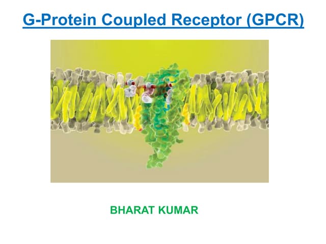 G protein-coupled receptors | PPTX