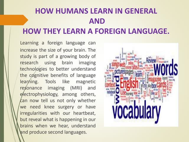 Class XII - 12 English Project . pptx | PPTX | Early Childhood ...