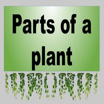Topic: Parts of a plant for the 4th grades | PPTX