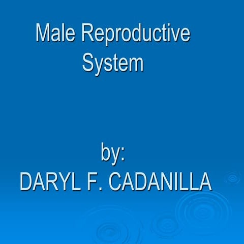 Male reproductive system ppt | PPTX