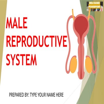 G10 Science Q3- Week 1- Male Reproductive System.pptx