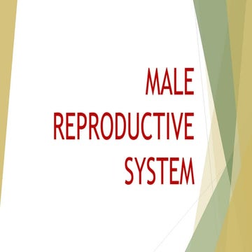 G10 Science Q3- Week 1- Male Reproductive System.pdf