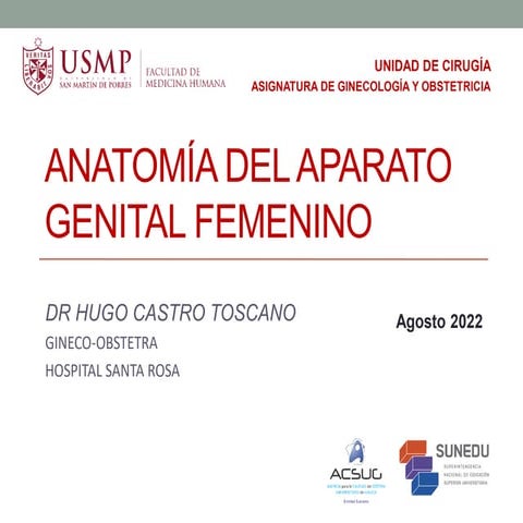 G1 ANATOMIA ARF-Dr.CASTRO.pdf