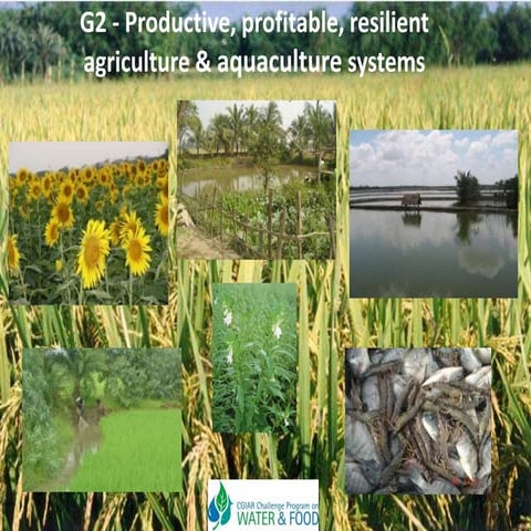 G2 - Productive, profitable, resilient agriculture & aquaculture ...