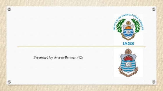 Bollman extractor | PPT