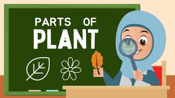 Foundational Plant Morphology: Understanding Basic Structure | PPTX