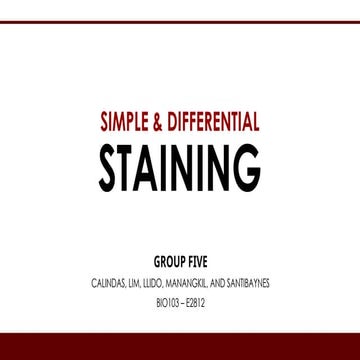 G4 - PLD PPT (STAINING, ISOLATION, FUNGI).pptx