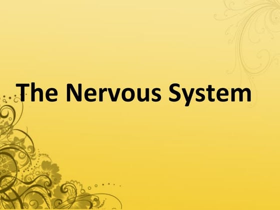 Peripheral Nervous System | PPT