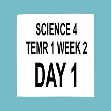 Daily Routines, Time Expressions, and Classroom Activities for ESL ...