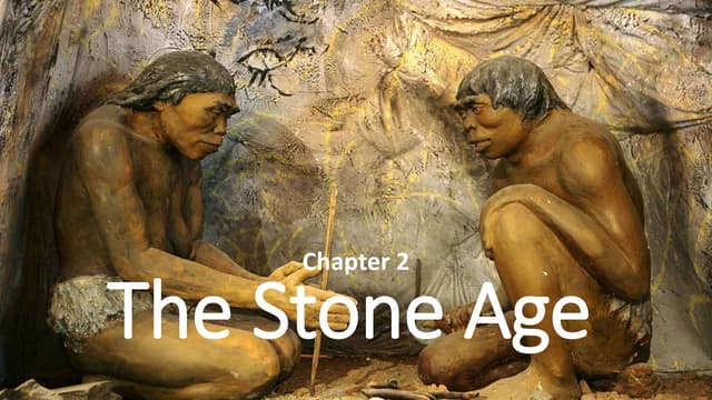 THE STONE AGE | PPT