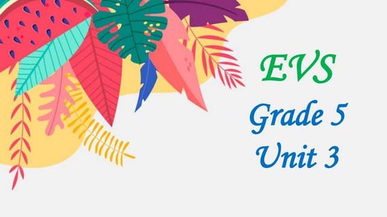 Living Things and the Environment.pptx Grade 3 Science | PPTX | Science