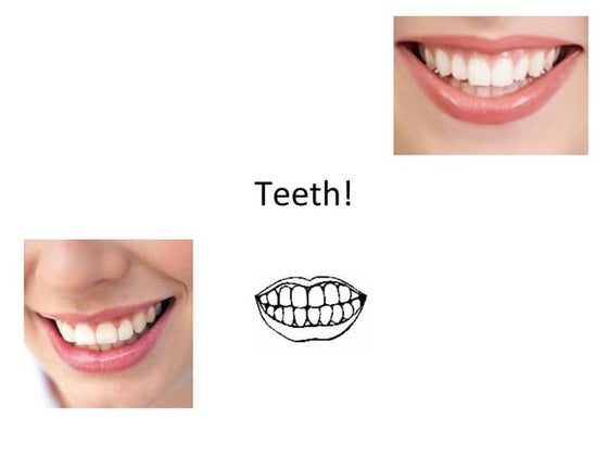 Types teeth | DOCX