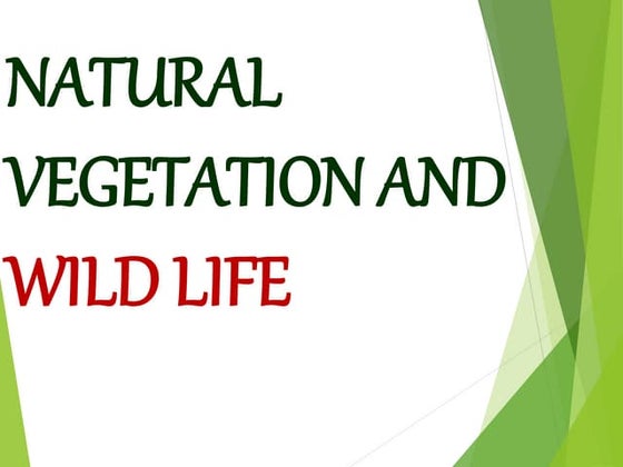 Social forest transforestation in java | PPTX