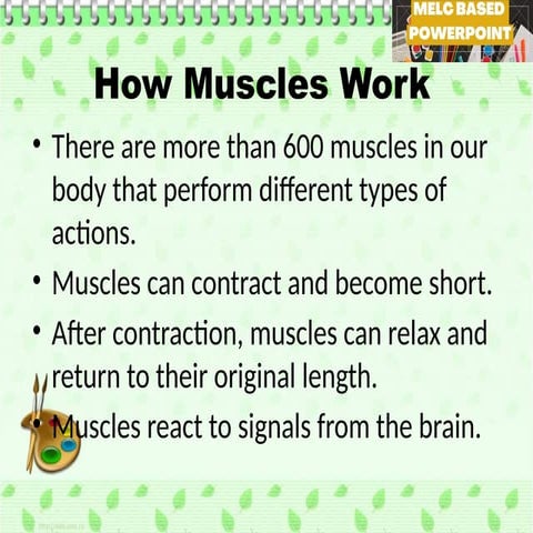 G6 Q2 WEEK 1-3 MUSCULAR SYSTEMThree Types of Muscles.pptx