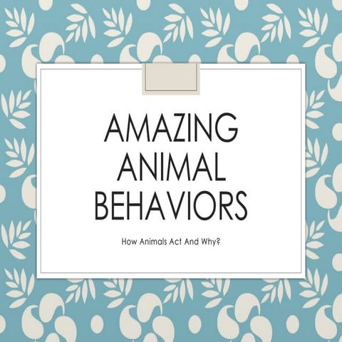 Grade 6 Animals behaviors and movements. | PPTX