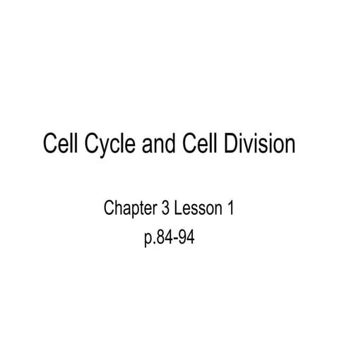 G7 cell cycle | PPT