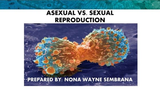 Asexual vs Sexual Reproduction | PPTX