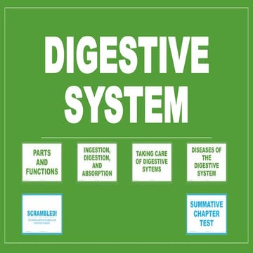 Digestive System (Grade 8, Quarter 4) | PPTX