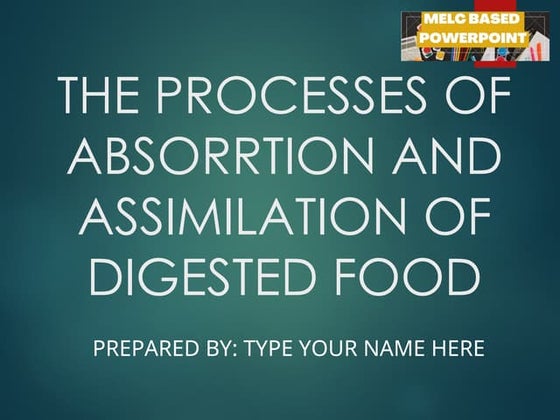 Digestive system animals | PPT
