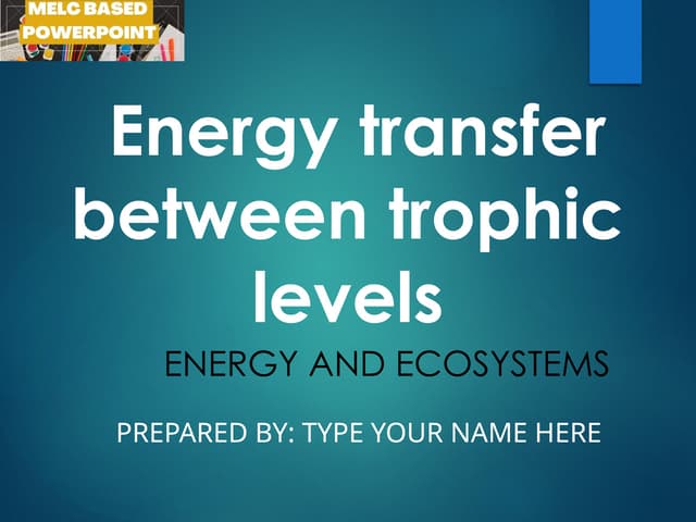 Energy pyramid lesson | PPT