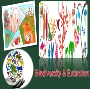 BIODIVERSITY AND EXTINCTION | PPTX