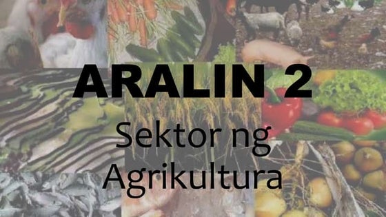 G9 AP Q4 Week 3 Agrikultura.pptx